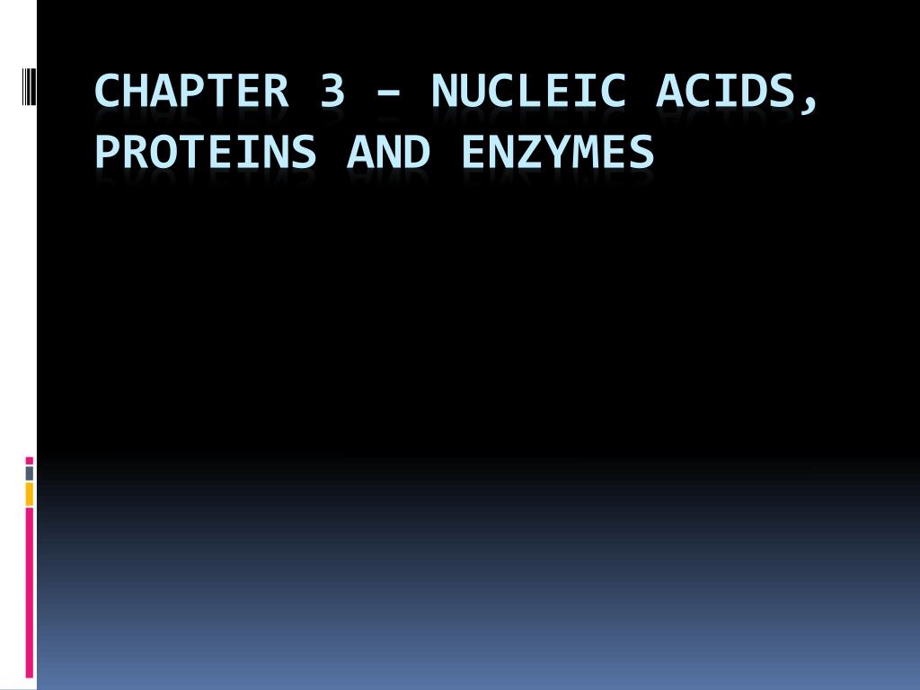 PPT - Chapter 3 – Nucleic Acids, Proteins and Enzymes PowerPoint ...