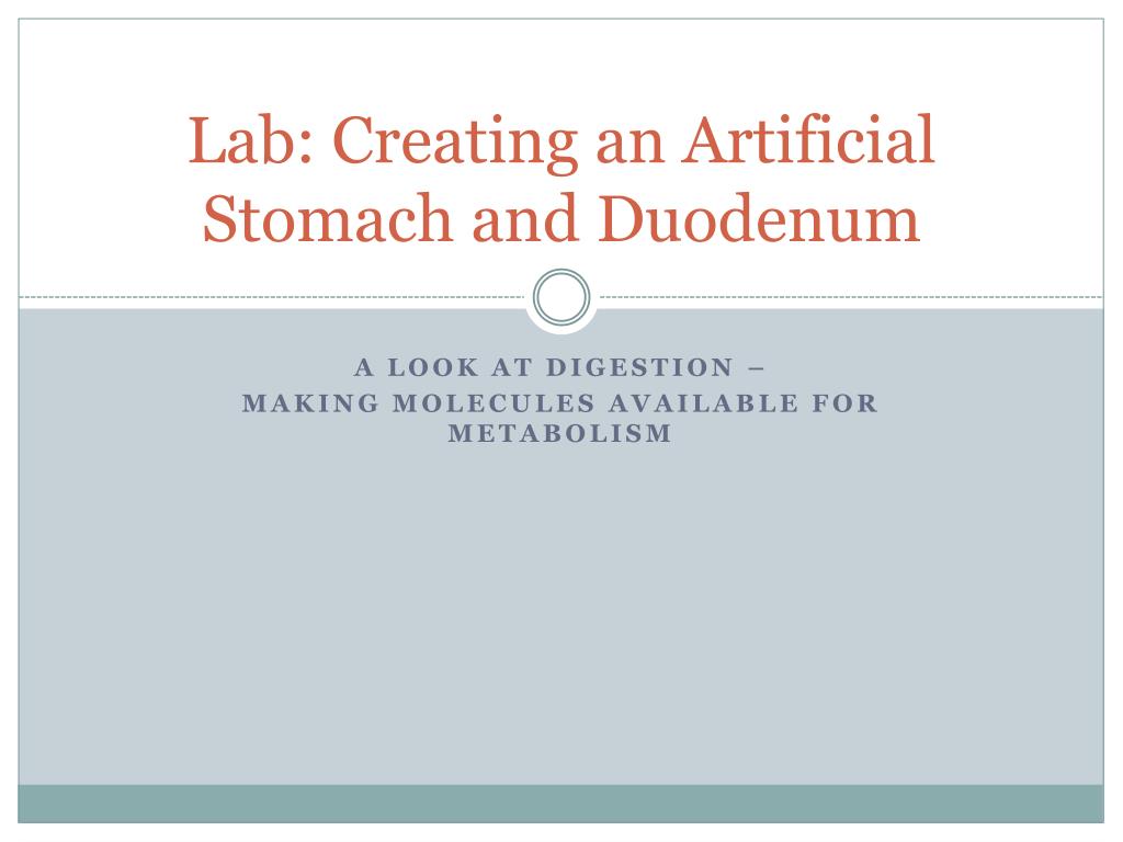 PPT - Lab: Creating an Artificial Stomach and Duodenum PowerPoint ...