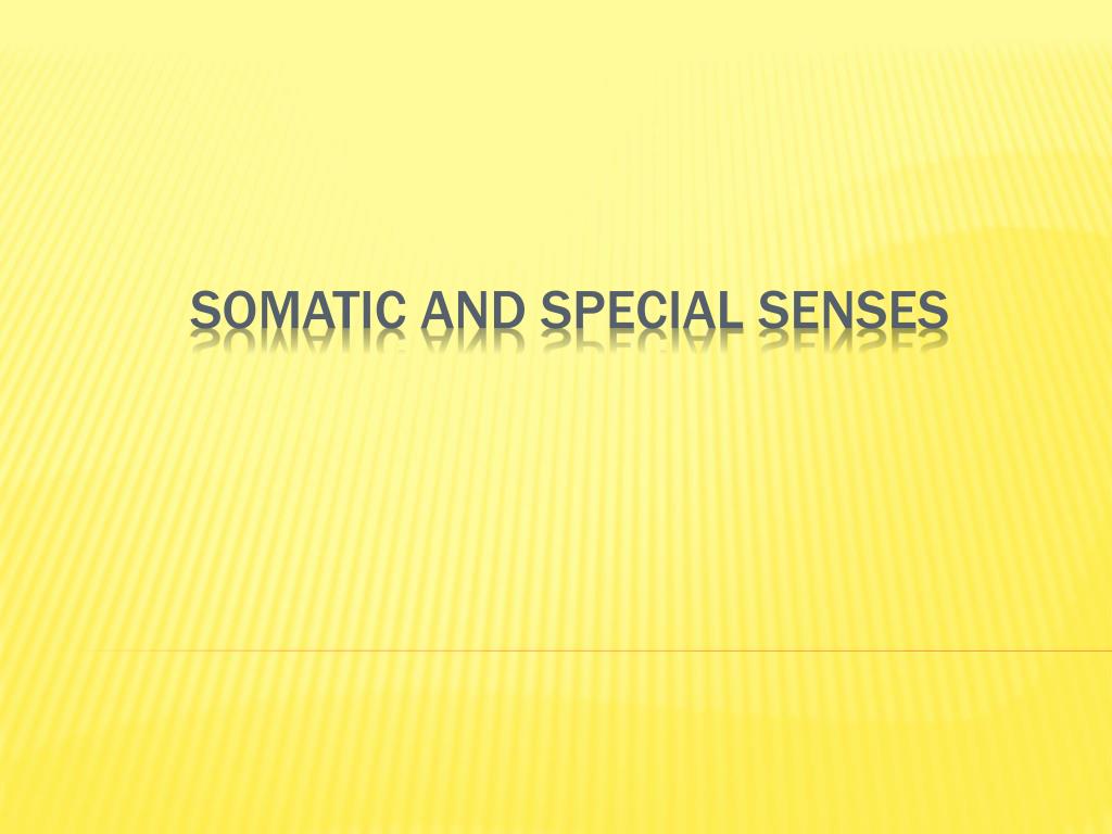 PPT - Somatic and Special Senses PowerPoint Presentation, free download ...