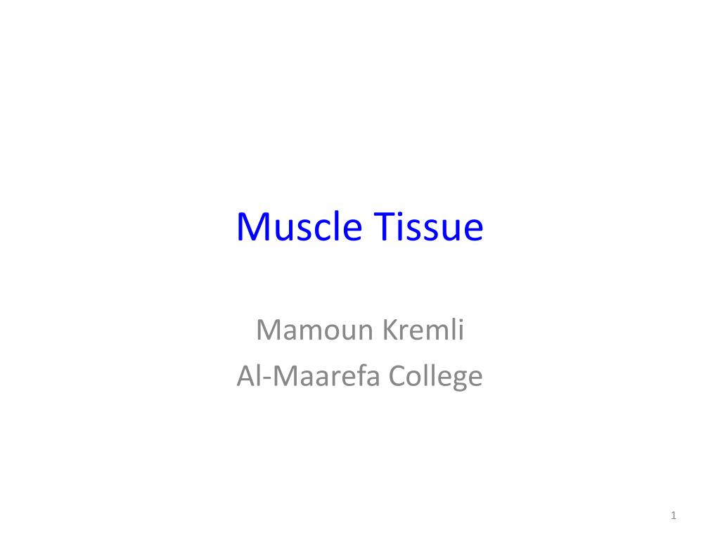 PPT - Muscle Tissue PowerPoint Presentation, free download - ID:2390255