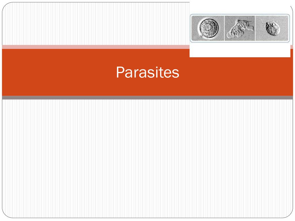 PPT - Parasites PowerPoint Presentation, free download - ID:2390575