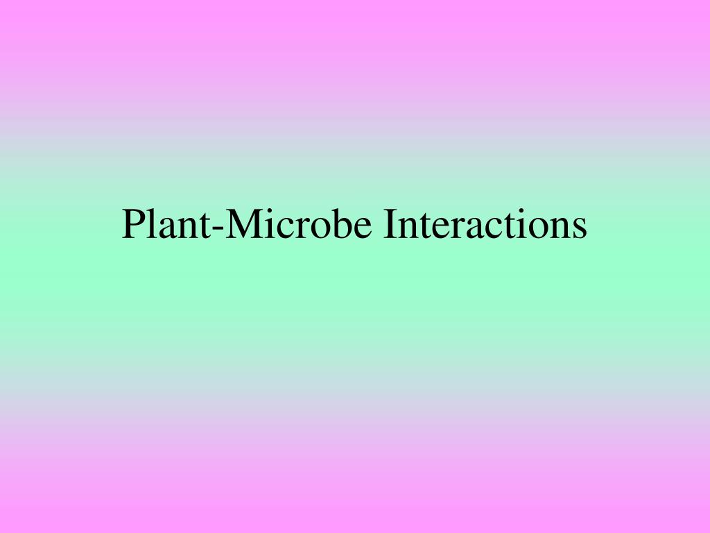 PPT - Plant-Microbe Interactions PowerPoint Presentation, free download ...