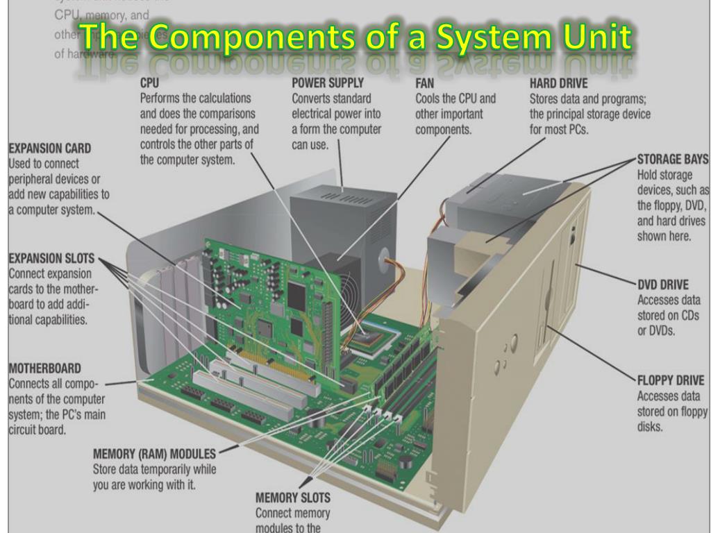 PPT - The Components of a System Unit PowerPoint Presentation, free ...