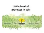 PPT - Biochemical ENGINEERING processes PowerPoint Presentation, free ...