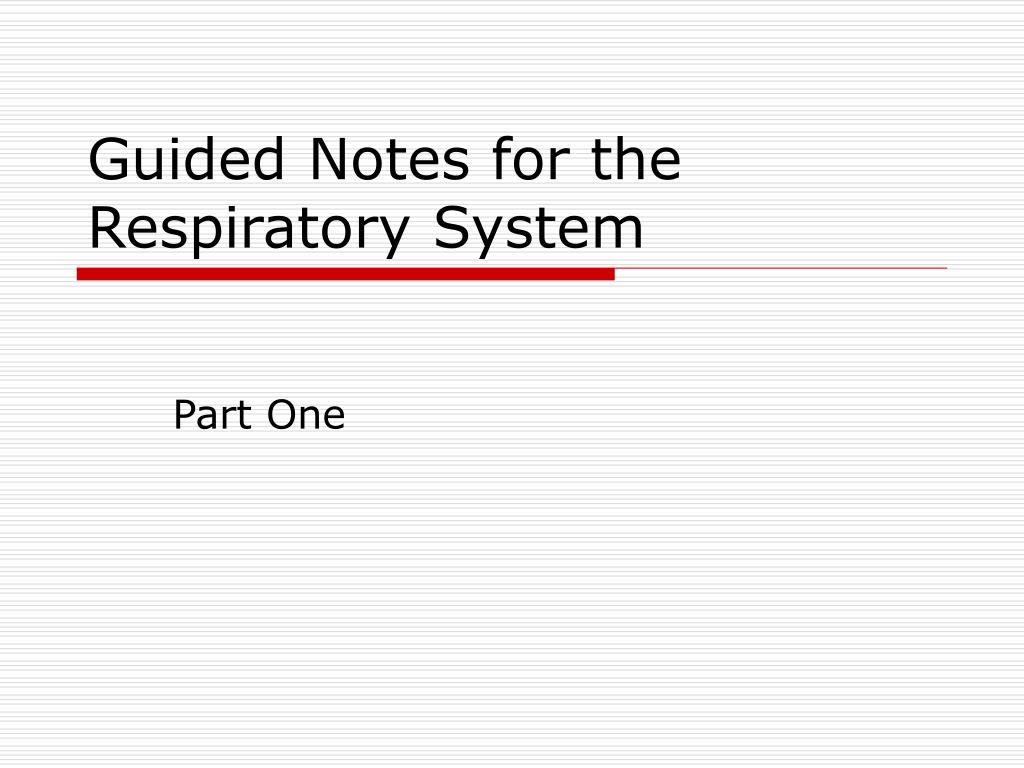 PPT - Guided Notes for the Respiratory System PowerPoint Presentation ...