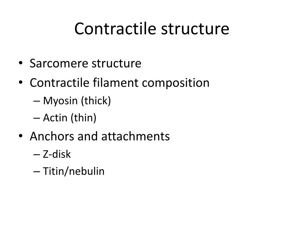 PPT - Contractile structure PowerPoint Presentation, free download - ID ...