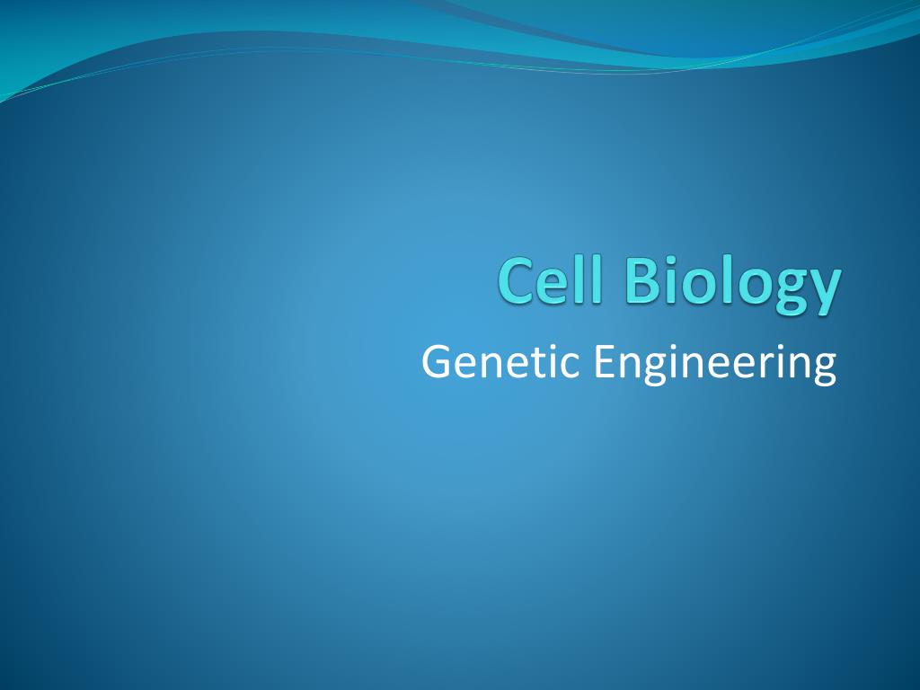 PPT - Cell Biology PowerPoint Presentation, free download - ID:2398705