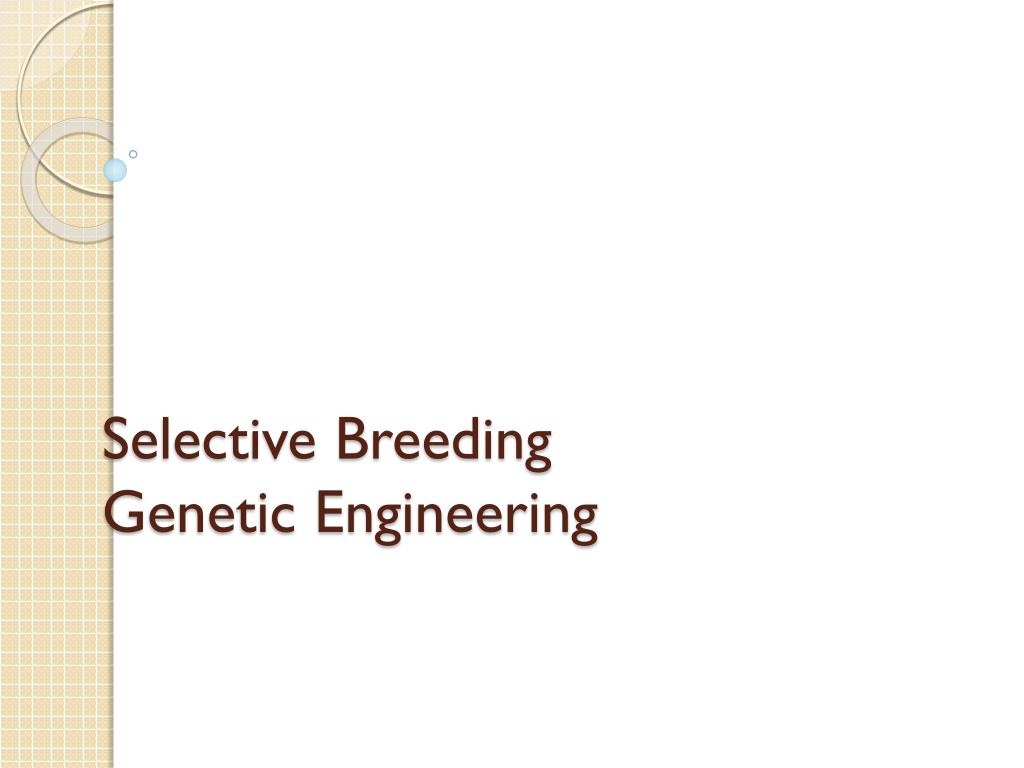 PPT - Selective Breeding Genetic Engineering PowerPoint Presentation ...