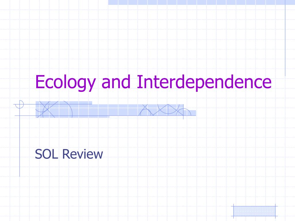 PPT - Ecology and Interdependence PowerPoint Presentation, free ...