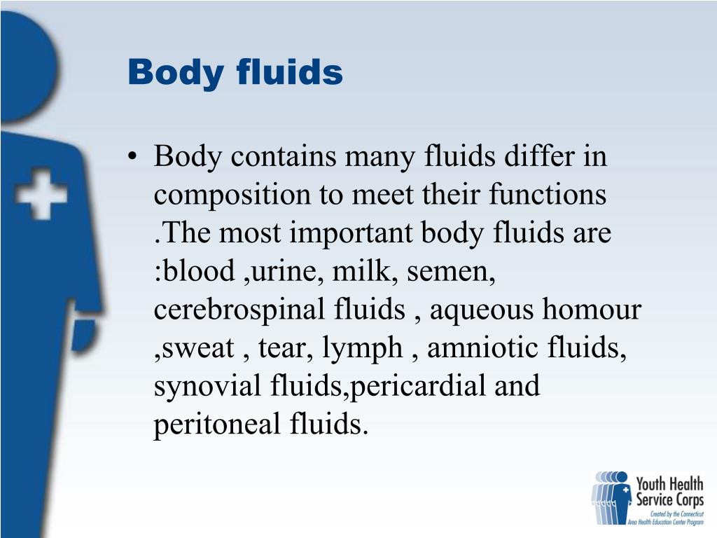 PPT - Body fluids PowerPoint Presentation, free download - ID:2399644