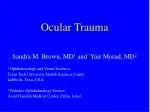 PPT - Ocular Trauma PowerPoint Presentation, free download - ID:9269635