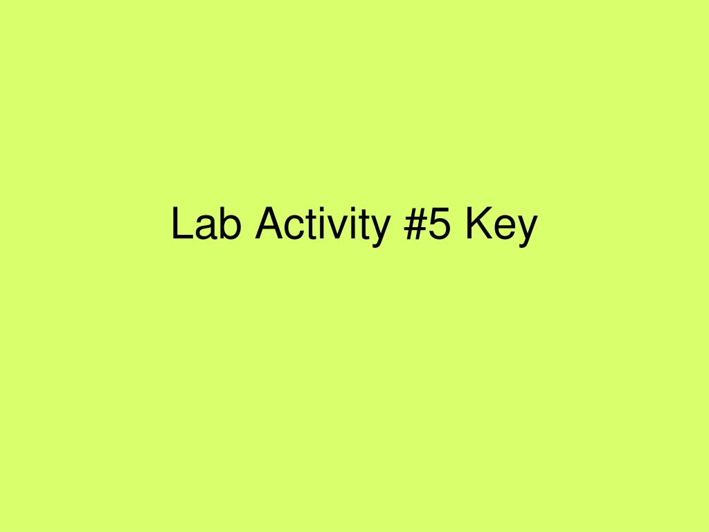PPT - Lab Activity #5 Key PowerPoint Presentation, free download - ID ...