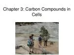 PPT - Carbon Compounds in Cells PowerPoint Presentation, free download ...