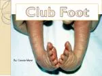 PPT - Foot Anatomy PowerPoint Presentation, free download - ID:2962633
