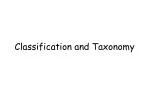 PPT - Classification and Taxonomy PowerPoint Presentation, free ...
