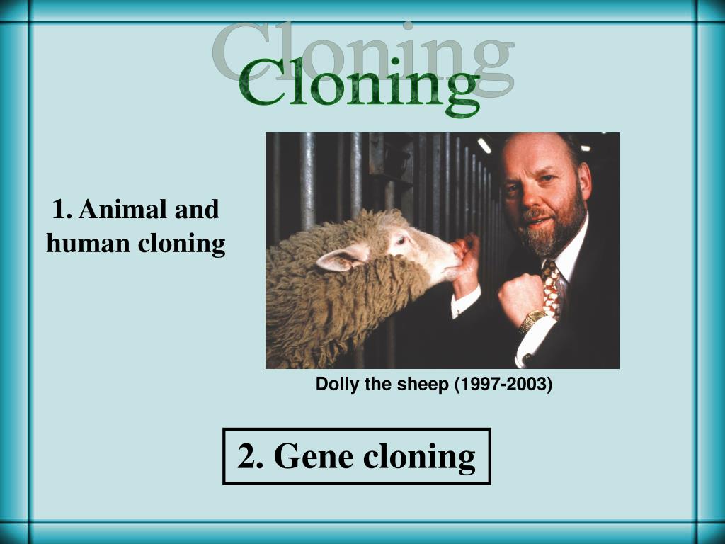 PPT - Dolly the sheep (1997-2003) PowerPoint Presentation, free ...