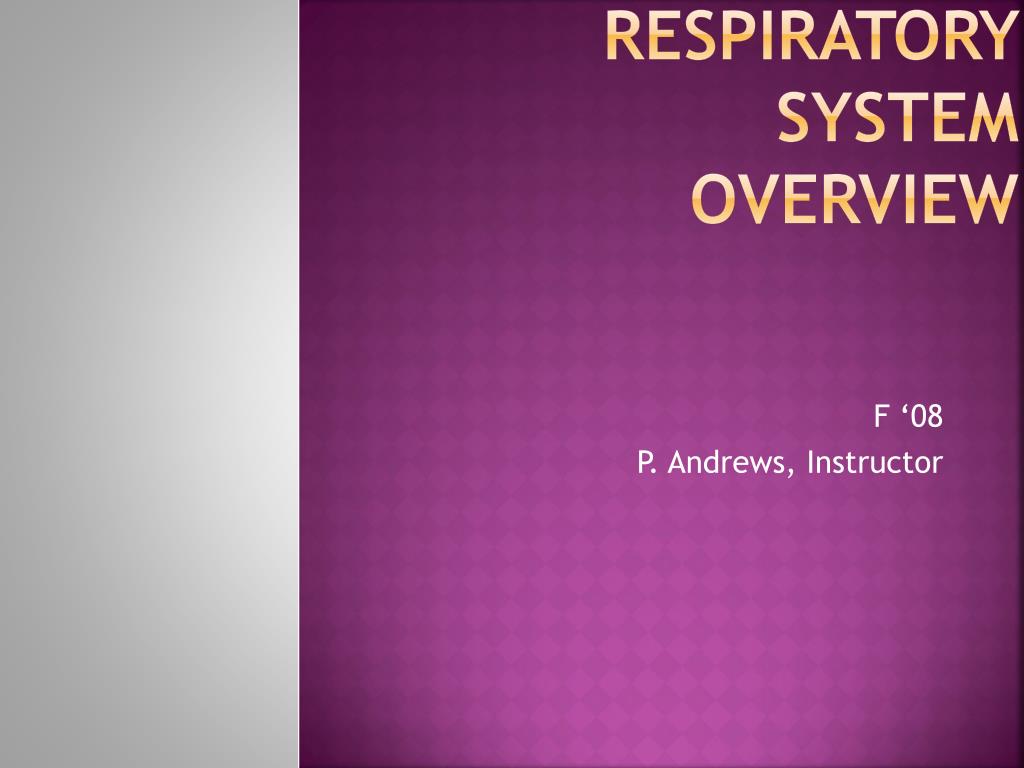 PPT - Respiratory System Overview PowerPoint Presentation, free ...