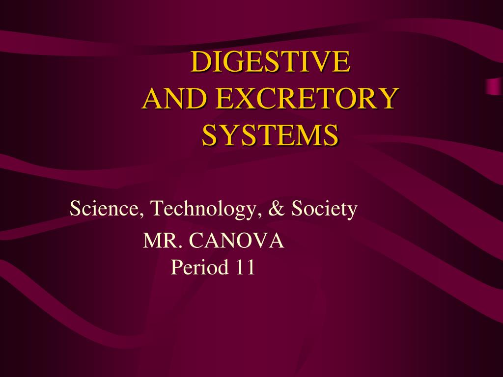 PPT - DIGESTIVE AND EXCRETORY SYSTEMS PowerPoint Presentation, free ...