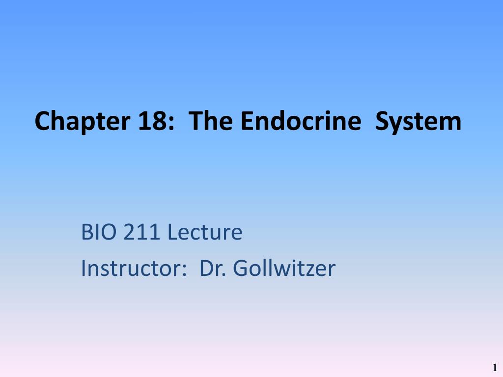 PPT - Chapter 18: The Endocrine System PowerPoint Presentation, free ...