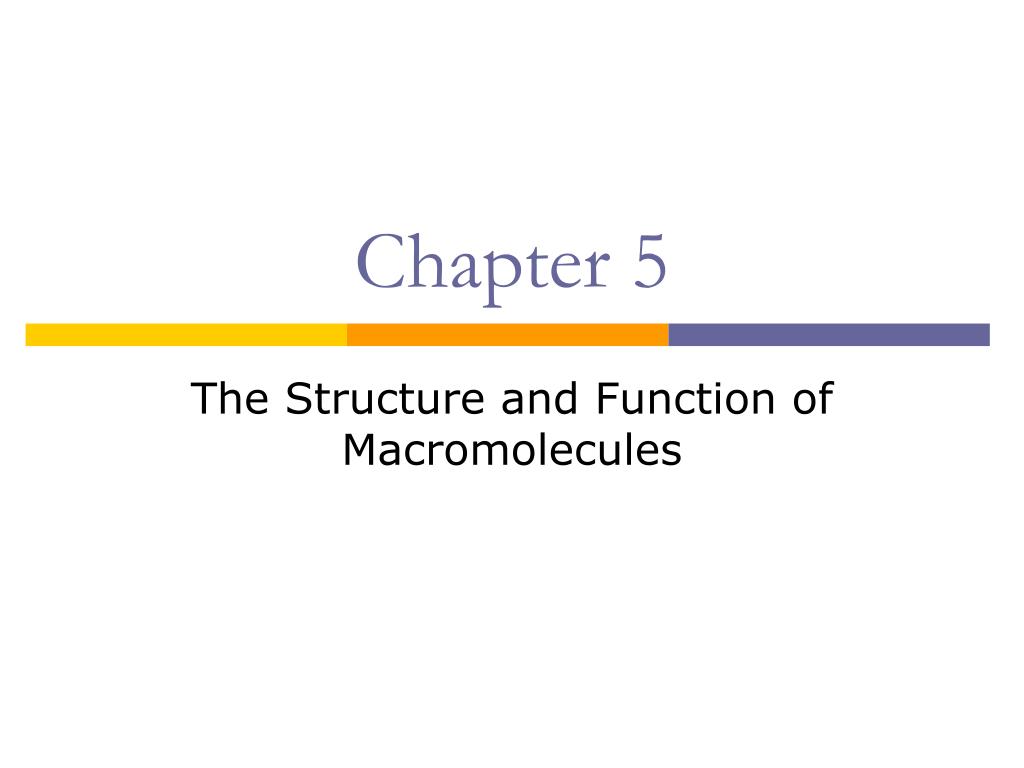PPT - Chapter 5 PowerPoint Presentation, free download - ID:2408222