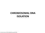 PPT - DNA Isolation PowerPoint Presentation, free download - ID:1469856