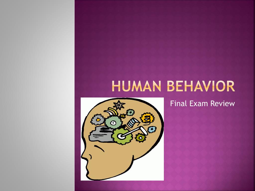 PPT - Human Behavior PowerPoint Presentation, free download - ID:2410803