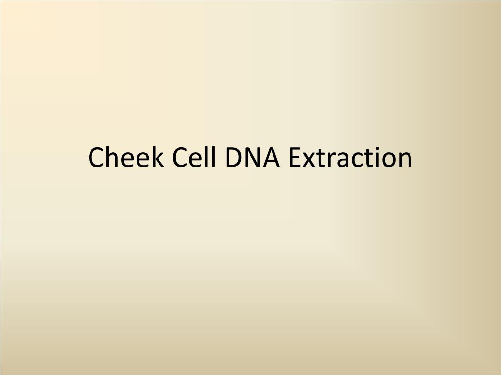 PPT - Cheek Cell DNA Extraction PowerPoint Presentation, free download ...