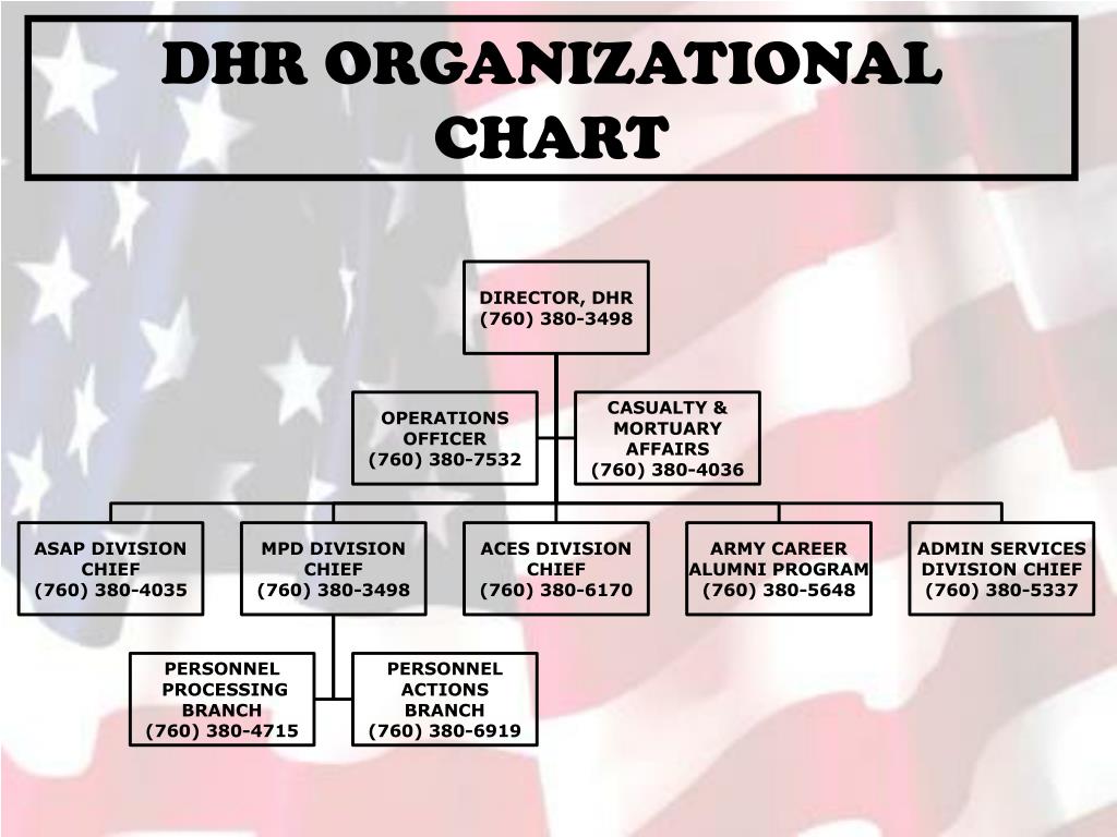 PPT - DHR ORGANIZATIONAL CHART PowerPoint Presentation, free download ...