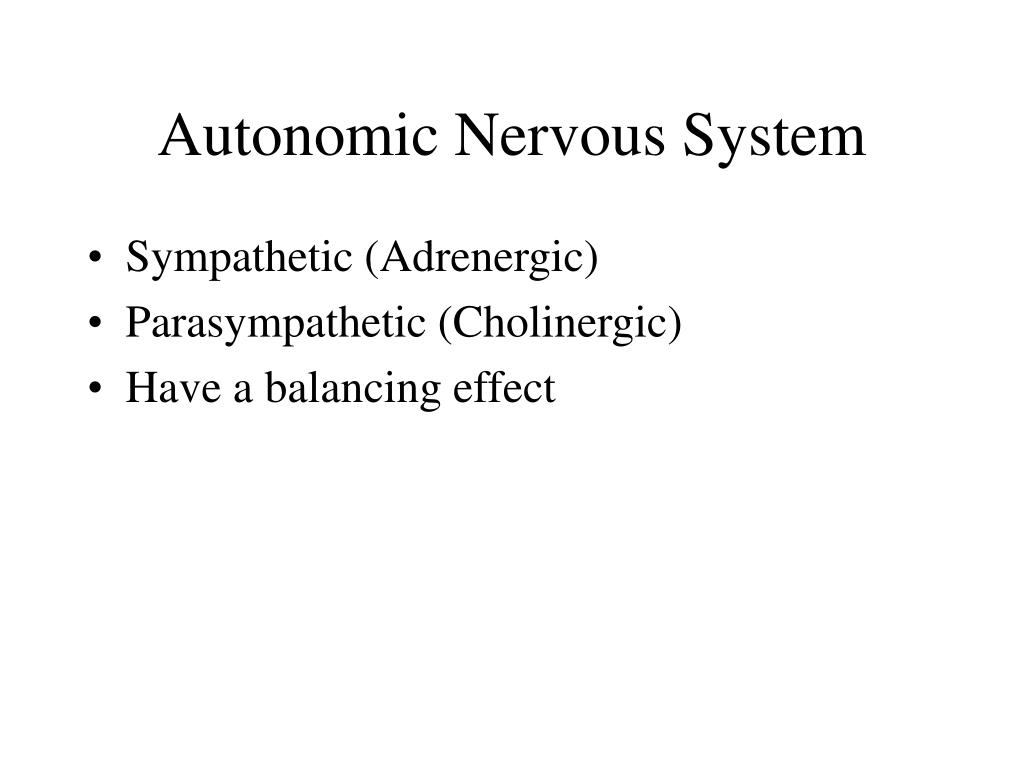 PPT - Autonomic Nervous System PowerPoint Presentation, free download ...