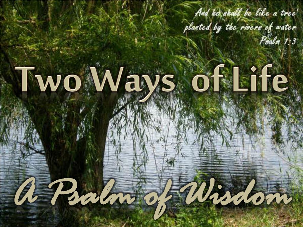 PPT - Two Ways of Life PowerPoint Presentation, free download - ID:2416069