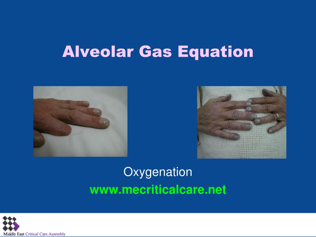 PPT - Alveolar Gas Equation PowerPoint Presentation, free download - ID ...