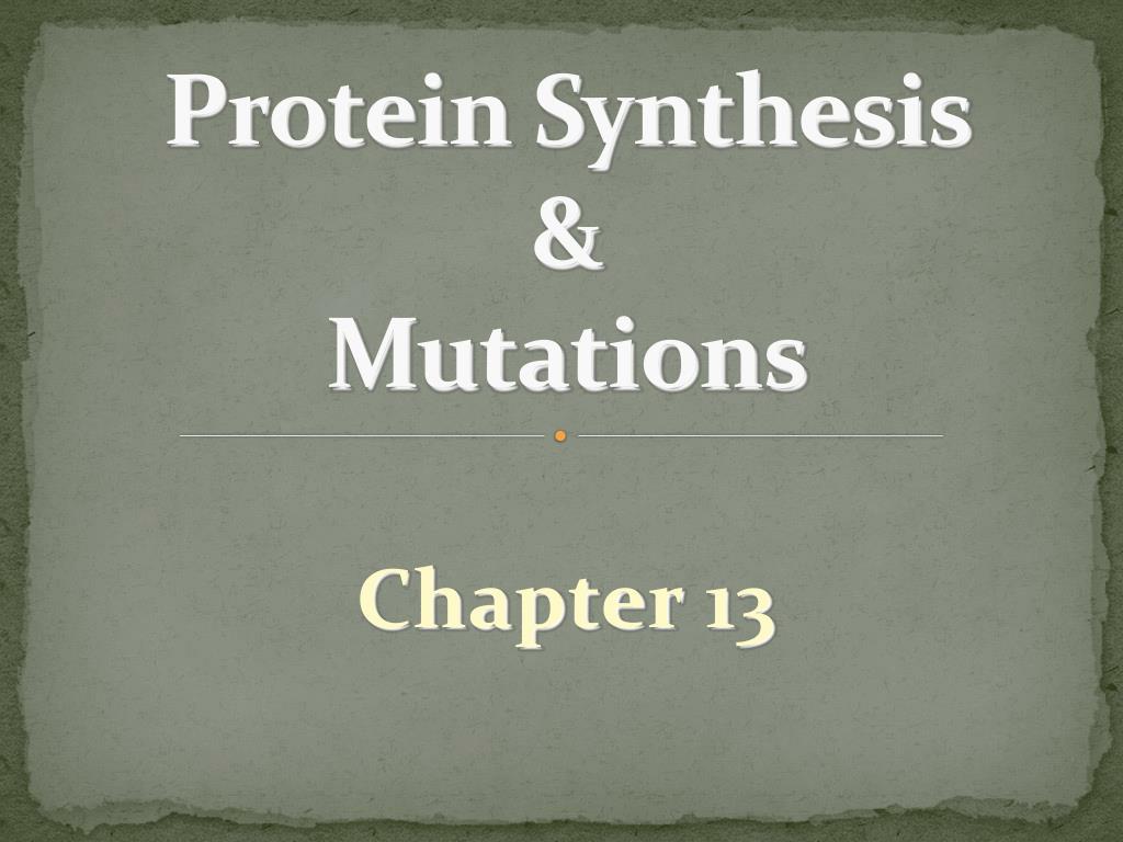 PPT - Protein Synthesis & Mutations PowerPoint Presentation, free ...