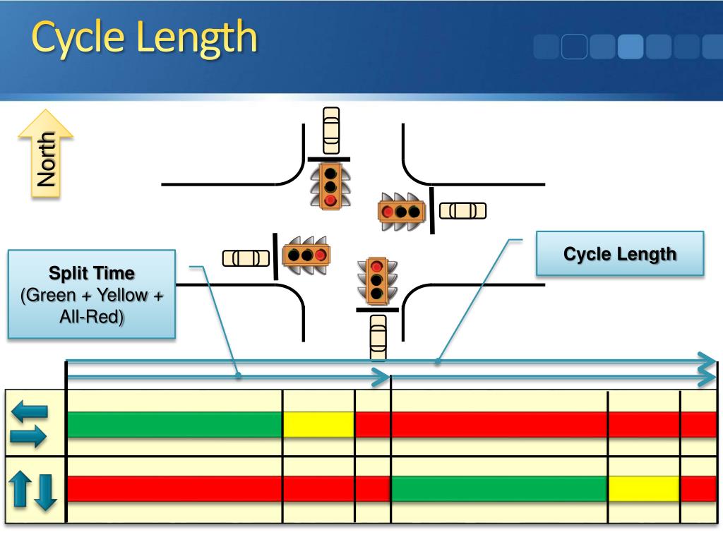 PPT - Cycle Length PowerPoint Presentation, free download - ID:2418302