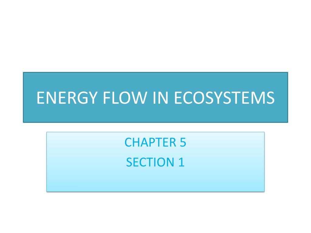 PPT - ENERGY FLOW IN ECOSYSTEMS PowerPoint Presentation, free download ...