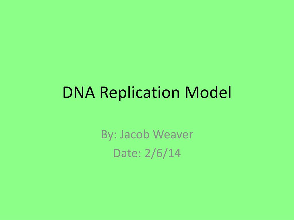 PPT - DNA Replication Model PowerPoint Presentation, free download - ID ...