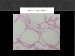 PPT - Simple squamous epithelium PowerPoint Presentation, free download ...