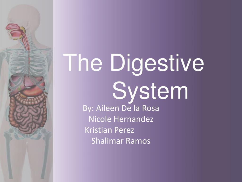 PPT - The Digestive System PowerPoint Presentation, free download - ID ...