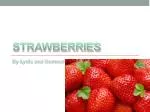 PPT - Strawberries ! ! ! Physiology and Morphology of Strawberries ...