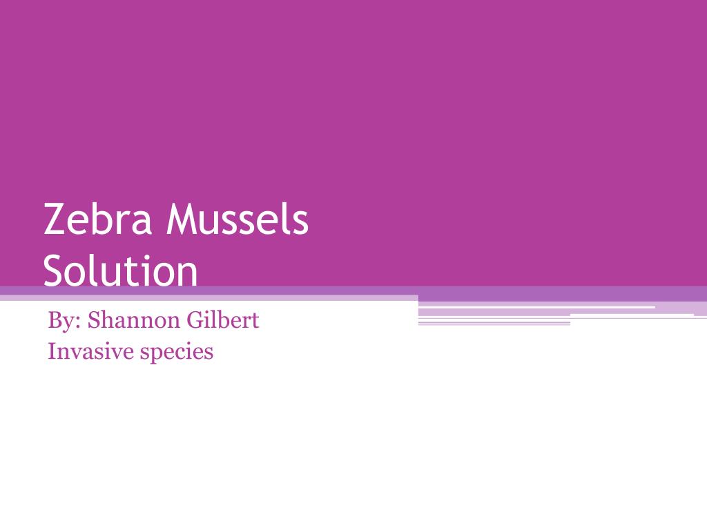 PPT - Zebra Mussels Solution PowerPoint Presentation, free download ...