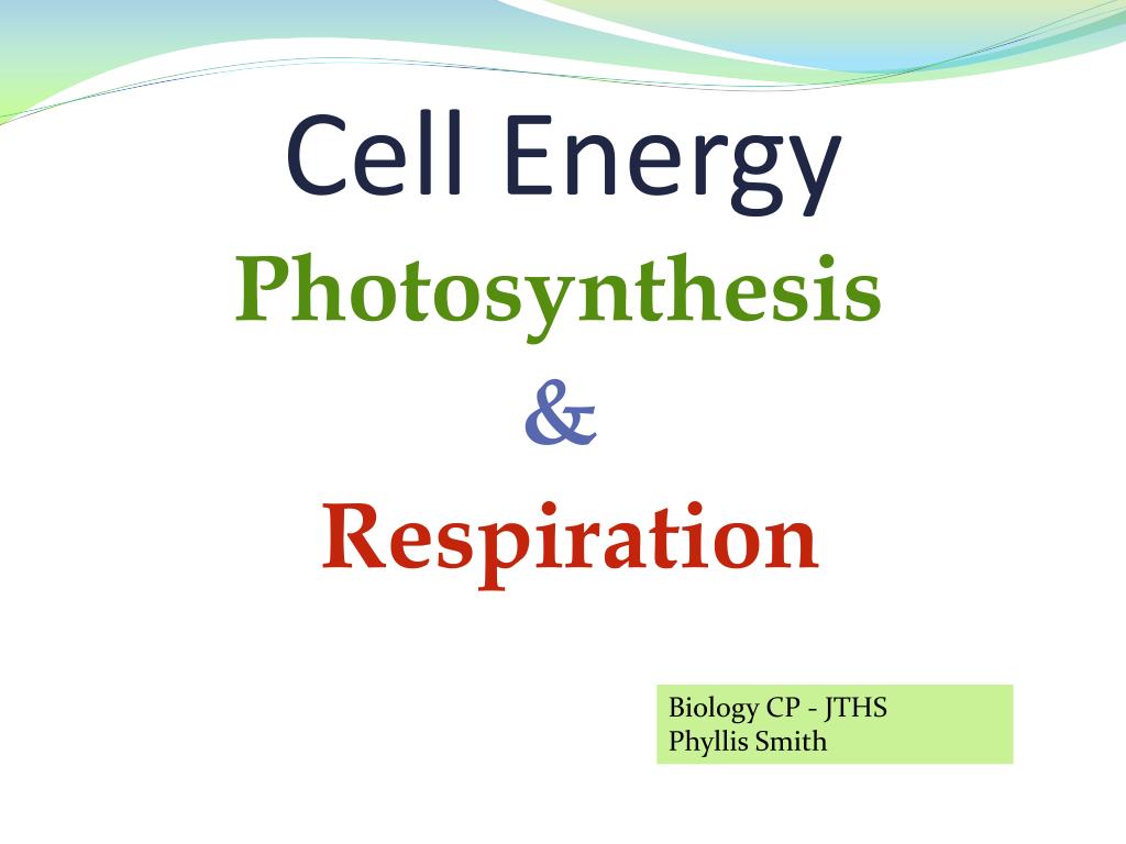 PPT - Cell Energy PowerPoint Presentation, free download - ID:2423360