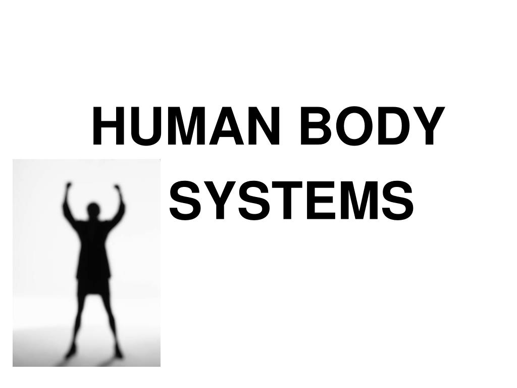 PPT - HUMAN BODY SYSTEMS PowerPoint Presentation, free download - ID ...