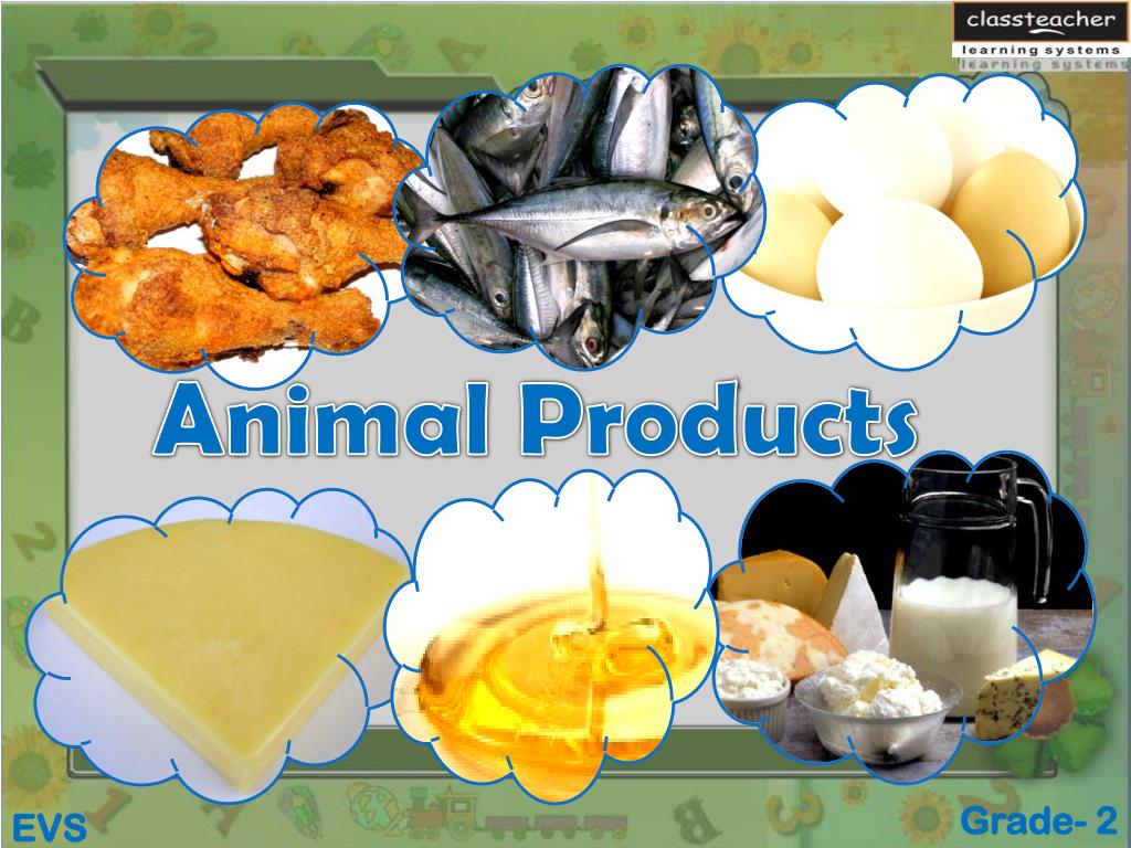 PPT - Animal Products PowerPoint Presentation, free download - ID:2425290