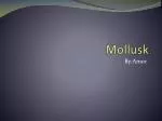 PPT - Mollusk Life Cycle PowerPoint Presentation, free download - ID ...