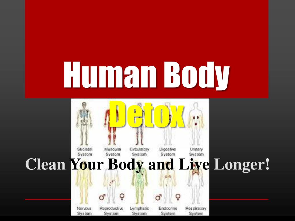 PPT - Human Body Detox PowerPoint Presentation, free download - ID:2429561
