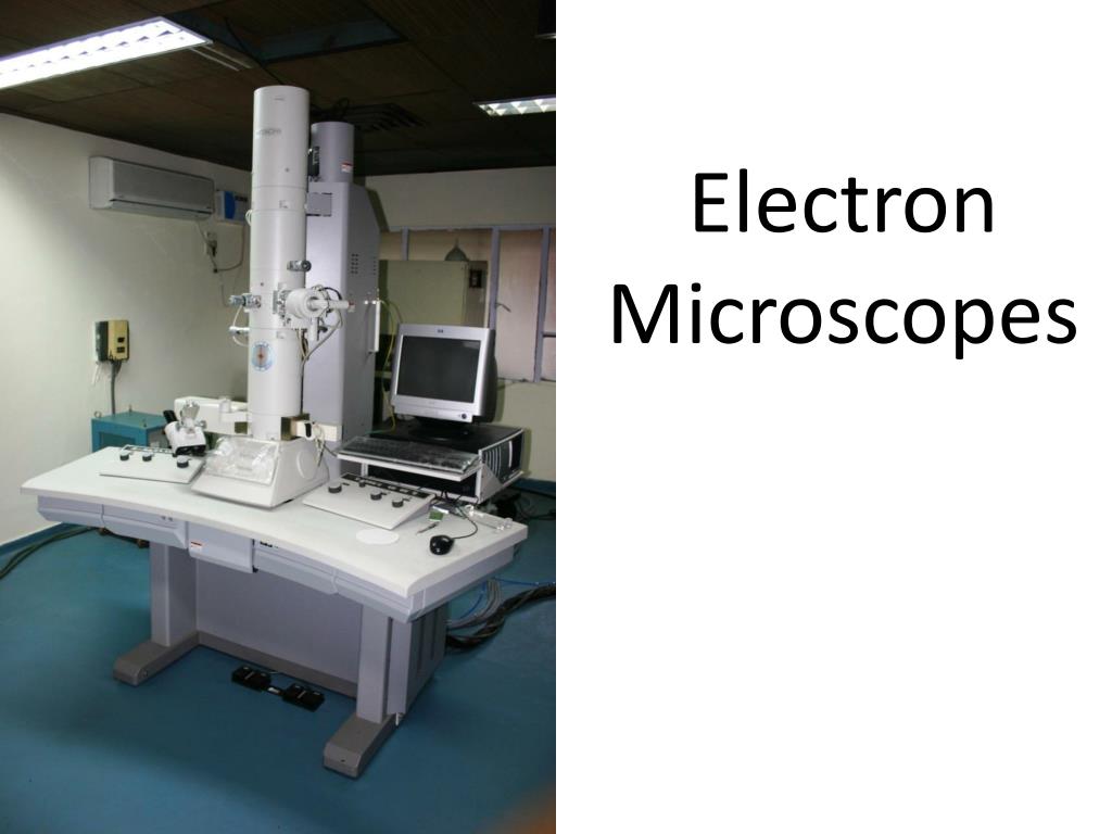 PPT - Electron Microscopes PowerPoint Presentation, free download - ID:2429778