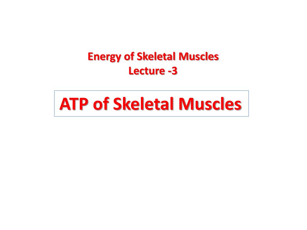 PPT - ATP of Skeletal Muscles PowerPoint Presentation, free download ...