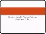 PPT - The Ventral Stream and Visual Agnosia PowerPoint Presentation ...