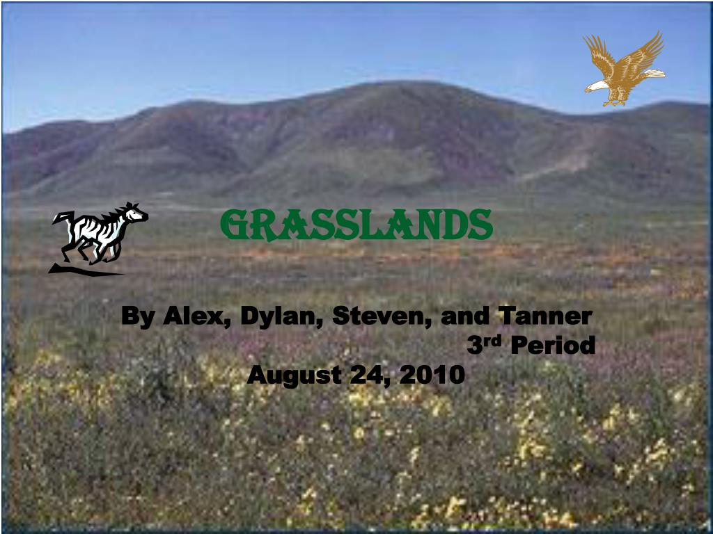 PPT - GRASSLANDS PowerPoint Presentation, free download - ID:2431585