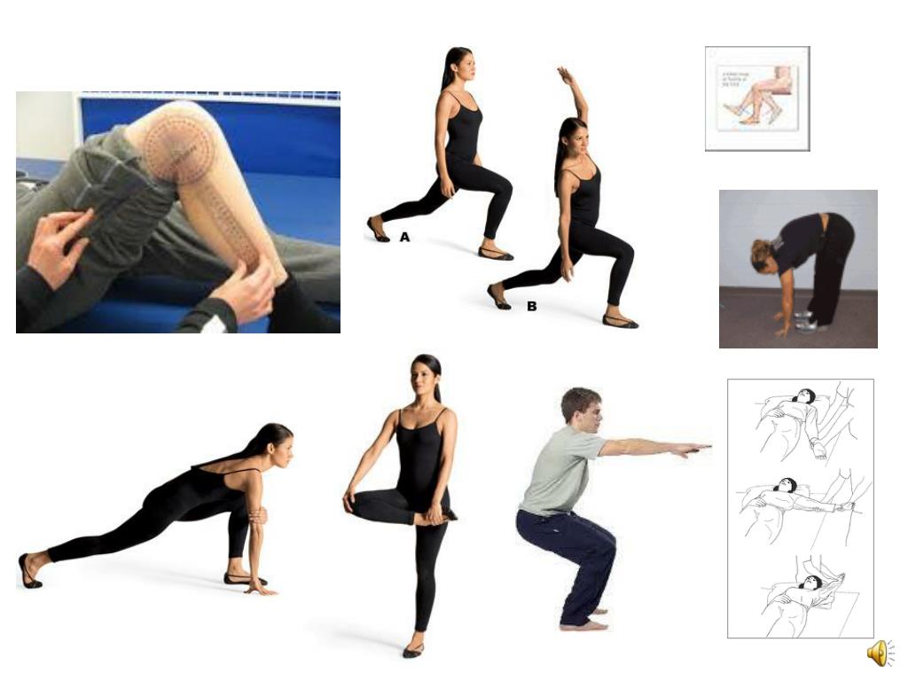 PPT - STATIC STRETCHES PowerPoint Presentation, free download - ID:2432608