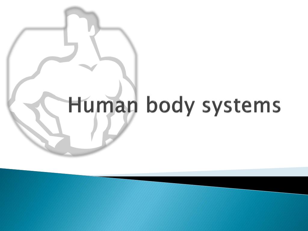 PPT - Human Body Systems Overview PowerPoint Presentation, free ...